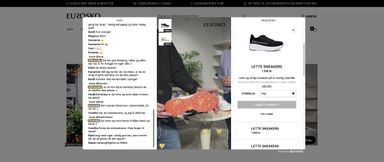 License explained: Streamify Professional